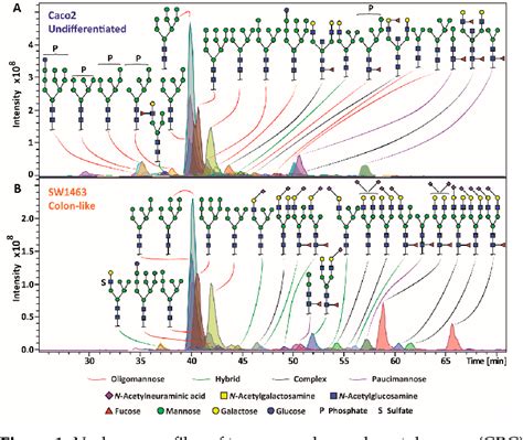 Figure 1 From In Depth Analysis Of The N Glycome Of Colorectal Cancer
