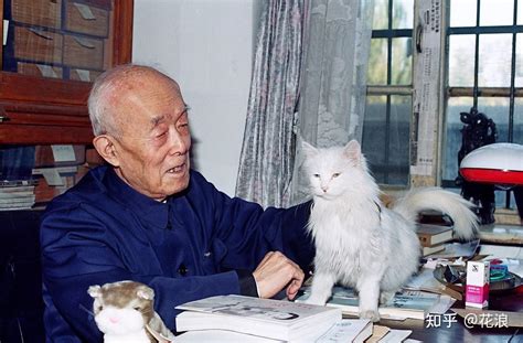 季羡林：人老了，躺在病床上，才会明白，决定自己一生的不是子女，而是这三样！ 知乎