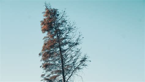 ᴘ ʜ ᴏ ᴛ ᴏ ɢ ʀ ᴀ ᴘ ʜ ʏ on Behance