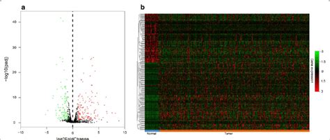 Differentially Expressed Tfs Between Hnscc And Adjacent Non Tumor