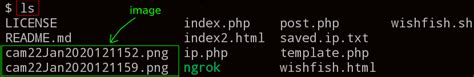 How To Hack Front Camera By Sending A Link Using Termux