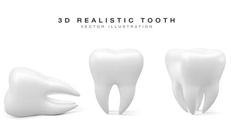 دانلود مجموعه 80 طرح وکتور لایه باز دندان و مسواک