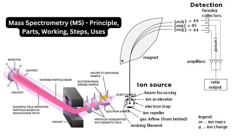 Dark Field Microscopy Principle Parts Procedure Uses Biology