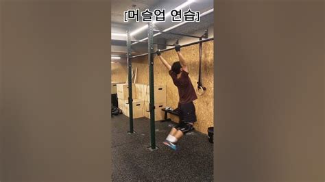크로스핏 6개월차 머슬업 연습 엉덩이만 밀면 올라가겠죠 머슬업 머슬업연습 크로스핏스킬 연습 맨몸운동 Crossfit 스쿼드 다이어트 데드리프트 동기부여
