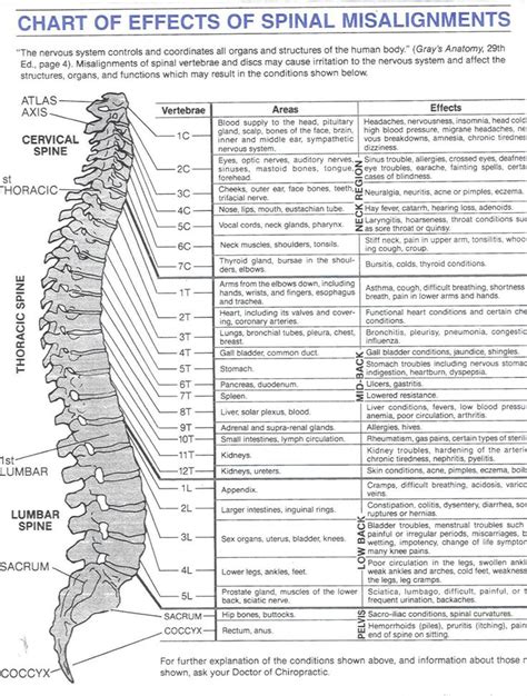 36 Best Images About Body System Correlation Charts On Pinterest