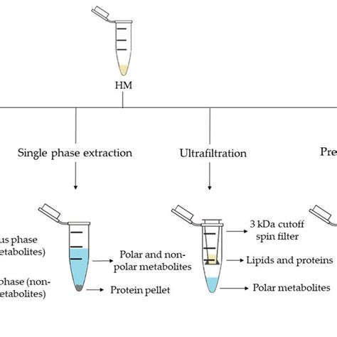 Sample Preparation Approaches Employed In Human Milk Hm Metabolomics
