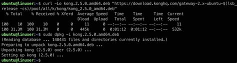 Install Kong API Gateway On Ubuntu 20 04 LinuxWays