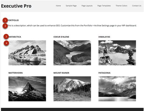 Executive Pro Theme Setup