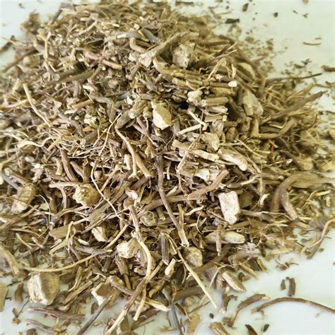 Gravel Root Roots Dried Herbs