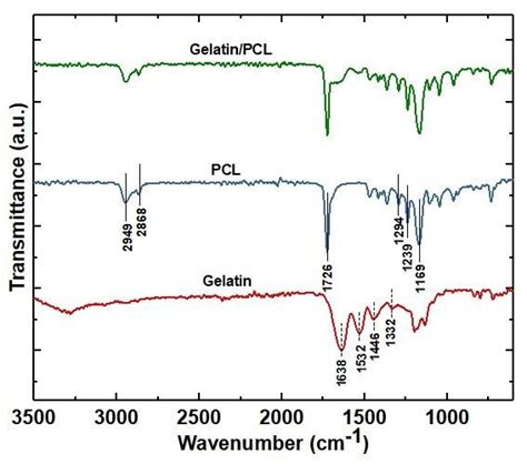 Ftir Spectra Of Electrospun Samples Of Pcl Gelatin And Pclgel