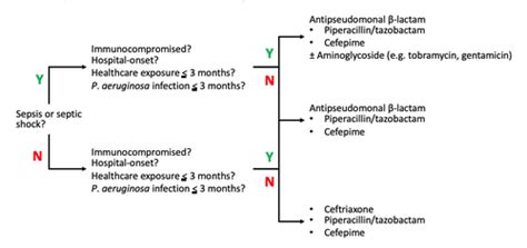 Bacteremia Flashcards Quizlet