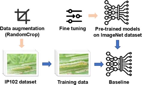 Figure From Deep Learning Hierarchical Methods For Insect Pest Recognition On Plants