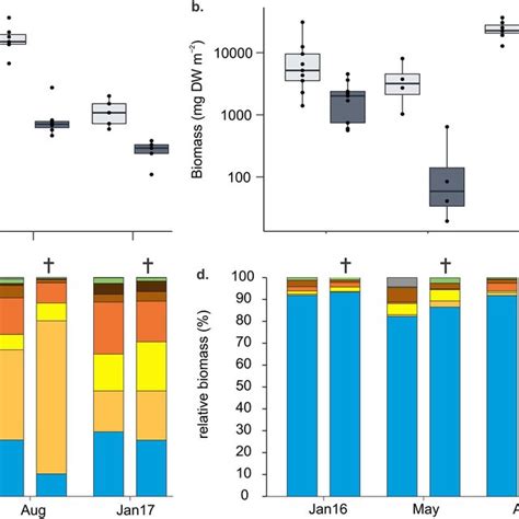 Dierences In A Abundance Ind M −2 And B Biomass Mg Dw M −2 Of