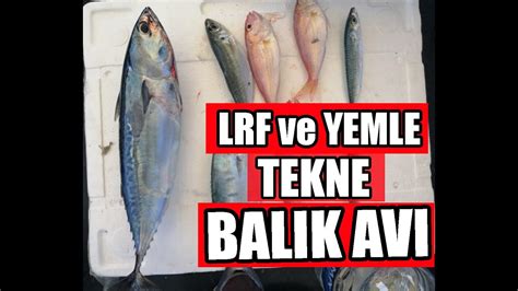 LRF ve Yem ile Teknede Eğlenceli Balık Avı 4K HD YouTube