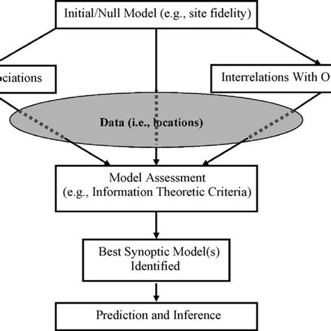 Schematic Of A Synoptic Approach To Modeling Animal Space Use