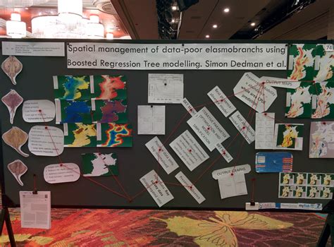 Pdf Spatial Management Of Data Poor Elasmobranchs Using Boosted