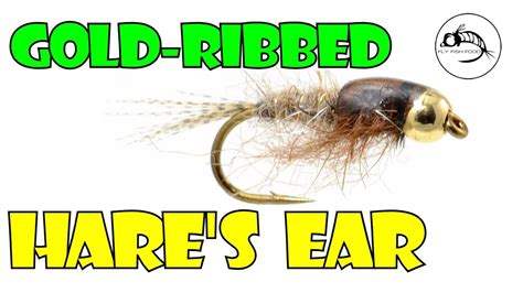 Fly Tying Tutorial Gold Ribbed Hares Ear By Fly Fish Food Youtube