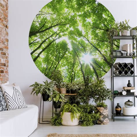 Fototapete Baumkronen Im Wald Rund Wall Art De