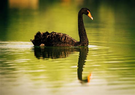 Freebitmapimages Photos Download The Best Free Freebitmapimages