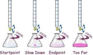 AS TITRATION LAB ONLINE Chemistry Classes Ronald Reagan S H S