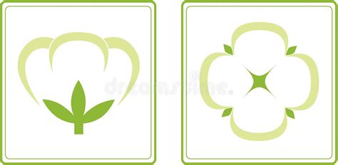 Cotton Gossypium Stock Vector Illustration Of Flower 15342845