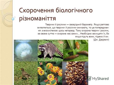 Презентация на тему Скорочення біологічного різноманіття Тварини й