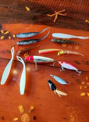 Mangrove Snapper Fishing A State By State Guide To Bag Limits And Gear