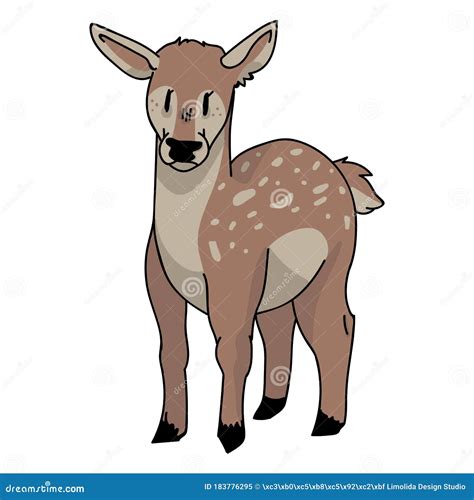 Doe Drawing Cute