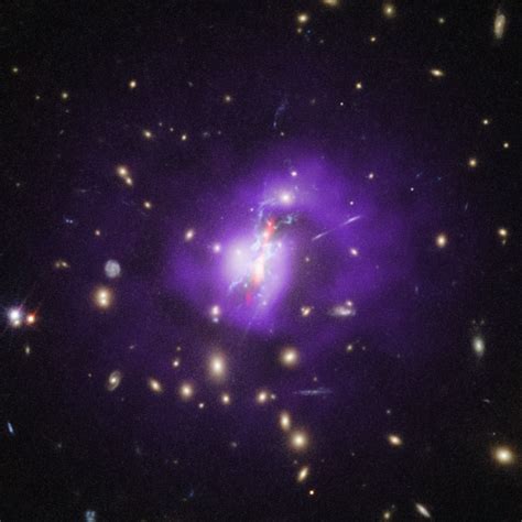 Friends Of Nasa The Phoenix Galaxy Cluster Nasa Webb Telescope