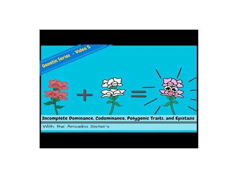 Incomplete Dominance Codominance Multiple Alleles Ppt Download