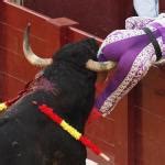 Grabbing The Bull By The Horns Meme Generator Imgflip