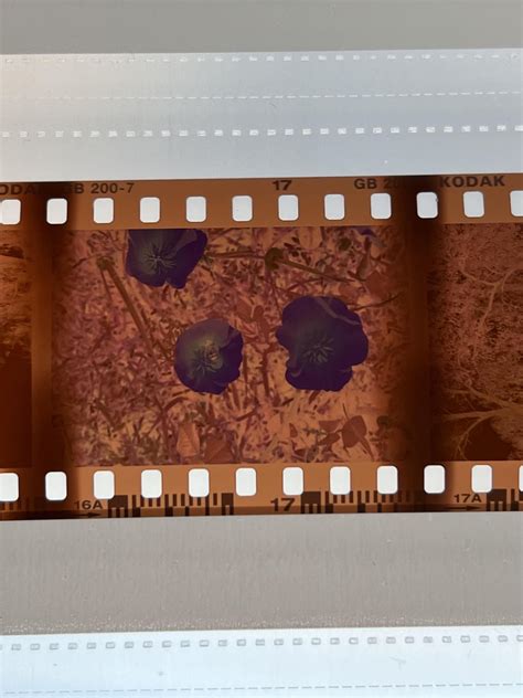 Help Needed Diagnosing Light Leaks Ranalogcommunity