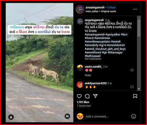 Fact Check ಸಾಗರ ಭಟ್ಕಳ ರಸ್ತೆಯಲ್ಲಿ ಸಿಂಹಗಳು ಎಂದು ಗುಜರಾತ್‌ನ ವಿಡಿಯೋ ವೈರಲ್