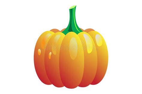 Orange Pumpkins Isolated On A White Background Stock Vector