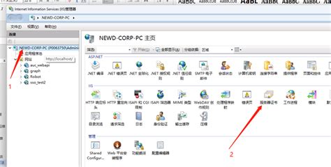 Iis Https Iis Pfx Csdn