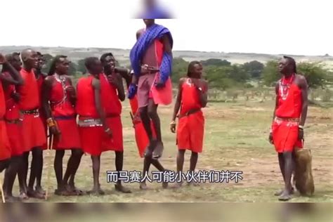 狮子竟然被他们杀到求饶？镜头记录猎杀时刻，看完你也害怕！镜头时刻狮子
