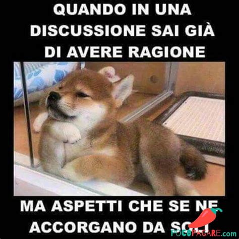 Pin Su Immagini Divertenti