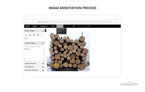 object detection with small datasets how much data is enough