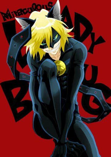 Bia Noir Anime Wiki Miraculous Ladybug Amino