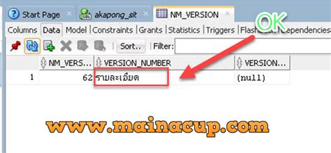 วิธีตั้งค่าให้ insert ข้อมูลภาษาไทยใน sql developer oracle 11gรับสอน