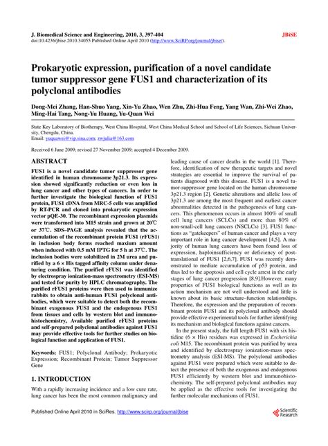 Pdf Prokaryotic Expression Purification Of A Novel Candidate Tumor