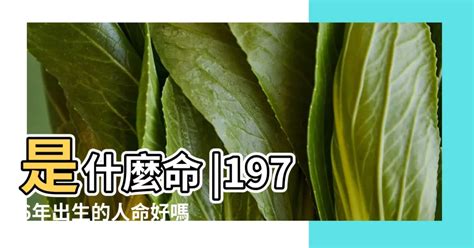 是什麼命 1976年出生的人命好嗎 農曆1976年正月14日女命生辰八字五行算命 【1976年正月十四八字】 Npf 風水知識網