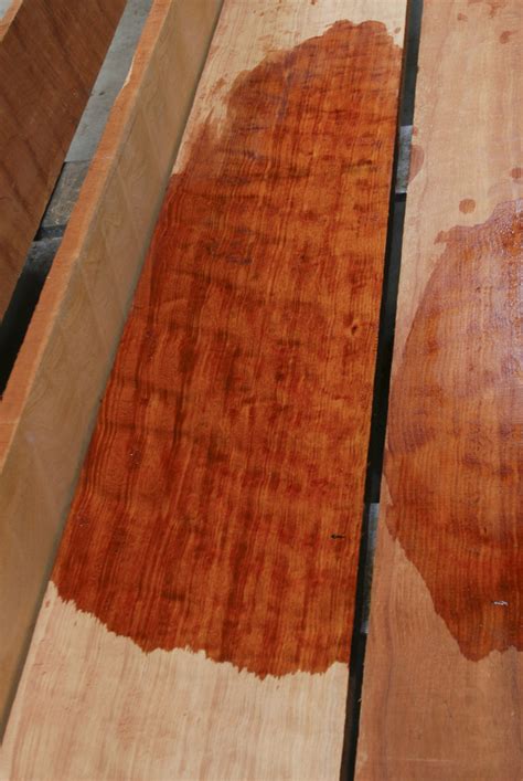 Mahogany Wood Timeless Treasure Woodenlink