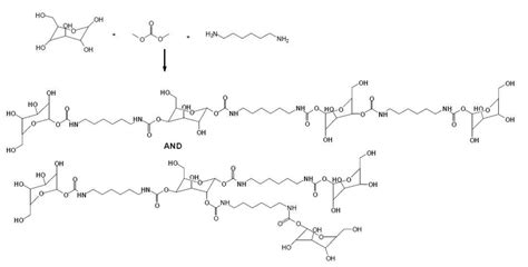 Schematic Representation Of The Formation Of Non Isocyanate Download Scientific Diagram