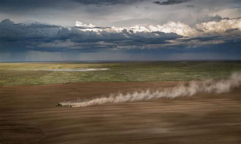 26 Million Acres Of Grassland Habitat Lost In North American Great
