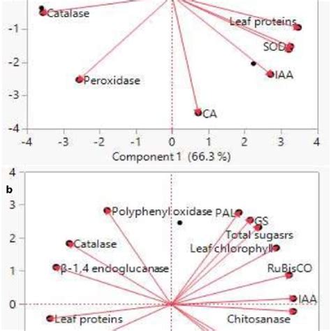 Principal Component Analysis Pca Biplot Of Tomato Leaves Parameters Download Scientific