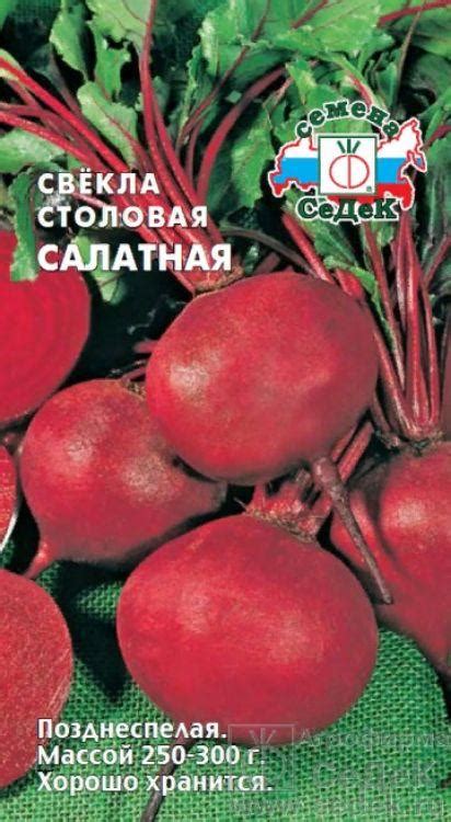 Золотая сотка алтая
