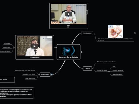 Cáncer De Próstata Mind Map