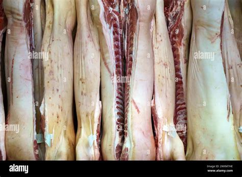 Pork Meat In Production Fresh Pork Carcasses In A Meat Factory